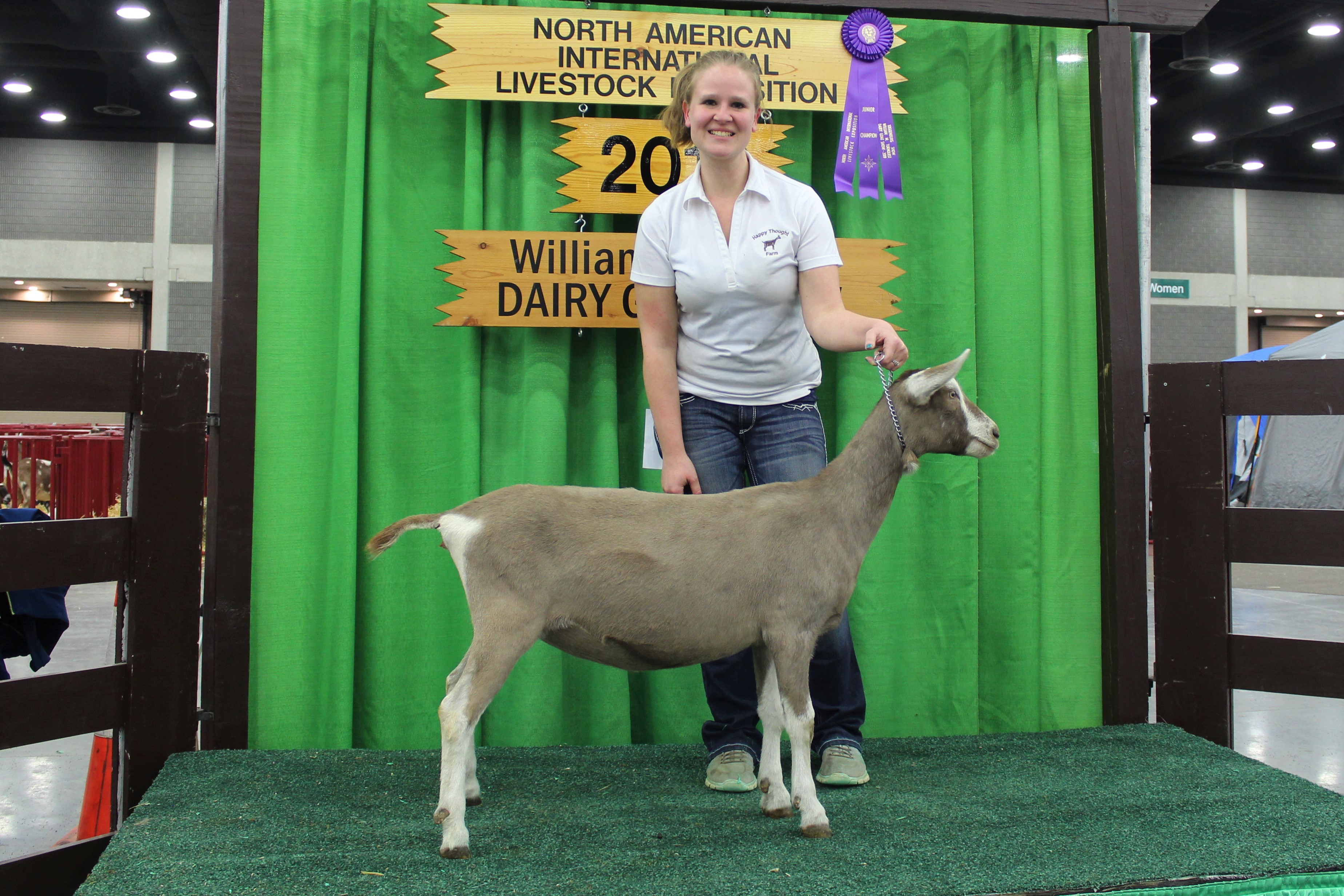 Happy Thought Farm | Registered Toggenburg Dairy Goats in Brighton ...